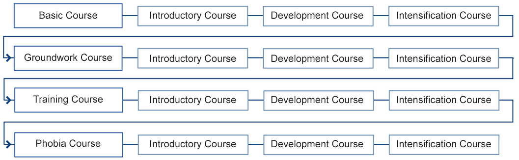 EBEC course program at Andrea Kutsch Academy: Get to be the best horse ...